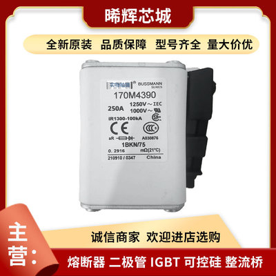 170M5961 170M5962 170M5963 现货库存充足 型号齐全直流熔断器