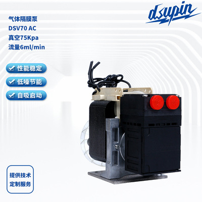 DSV70AC220V气体隔膜泵