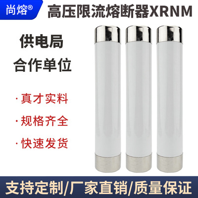XRNM1-7.2KV/50A100A200A母线式插入式高压限流熔断器WFNHO-12KV