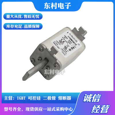 现货170M3193 170M3194 170M3195 170M3196/3197/3198全新熔断器