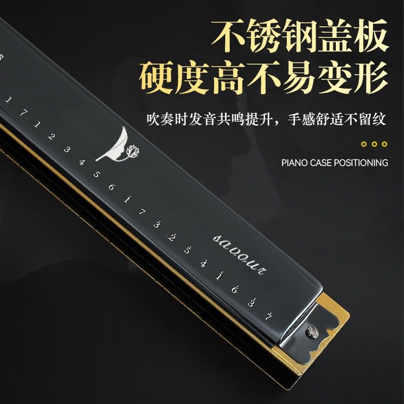 天鹅口琴24孔复音28孔重音C调初学者儿童练习成人专业演奏级乐器