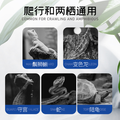 爬虫补钙粉D3爬宠陆龟鬃狮蜥蜴豹纹守宫爬虫肠道BAC红土粉益生菌