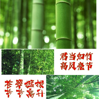 节节高竹子摆件乔迁芝麻开花杆秸秆梗喜事搬家新居开业婚庆升考学