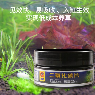 水草缸二氧化碳片鱼缸水族C02缓释泡腾片专用发生器co2套装爆藻小