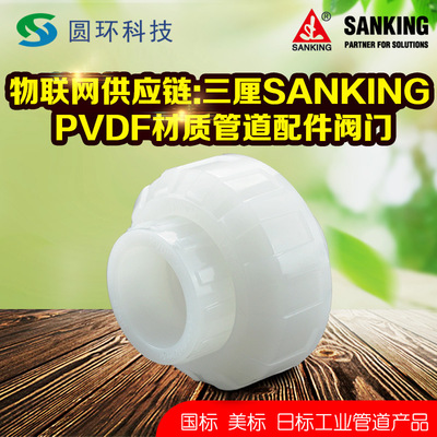 SANKING三厘PVDF活接VITON 2.5寸 3寸 4寸fpm化工PVDF由令管接头