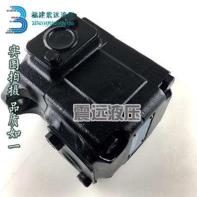 DENISON丹尼逊叶片泵T6D 028 (1R00 1R01 1R02 1R03) A1/B1/C1