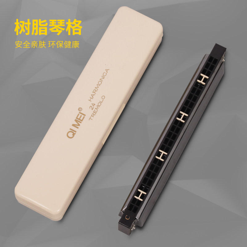 口琴24孔复音初学者成人儿童学生练习口琴演奏入门c调乐器