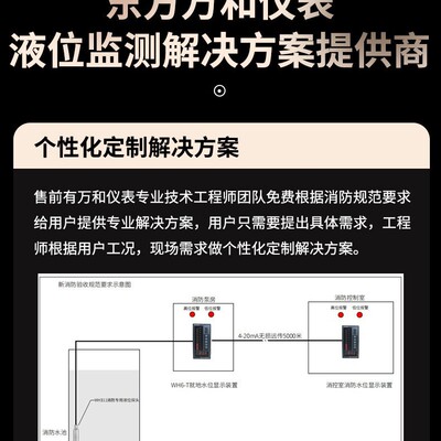 数字光柱双显液位显示仪 WH311 精度±1cm 直观显示水位变化