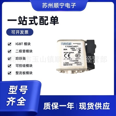 170M3472  170M3473 熔断器保险丝 电子原件 全新原装 型号齐全