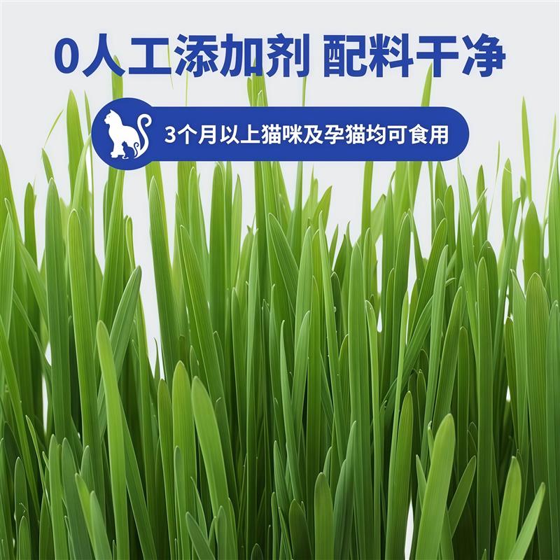 猫草片猫咪化毛球片化毛膏猫咪吐毛球化毛球猫草粒排毛猫用