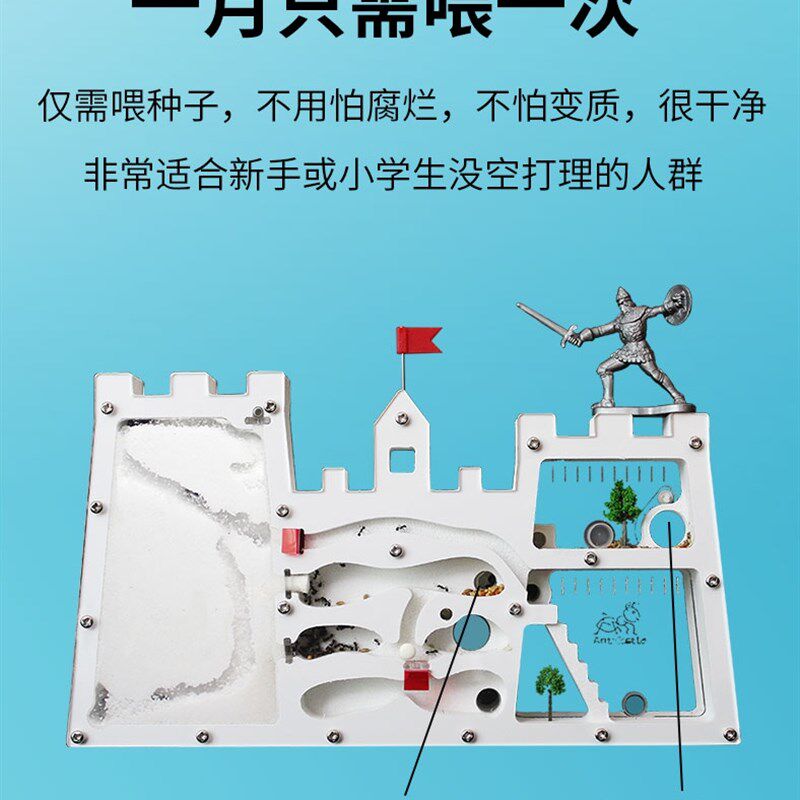 蚂蚁城堡蚂蚁工坊送收获蚁后学生观察生态箱蚁巢室屋庄园家园
