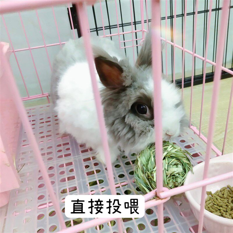 提摩西草球啃咬解闷天然牧草手工编织兔兔玩耍球兔子可磨牙健齿