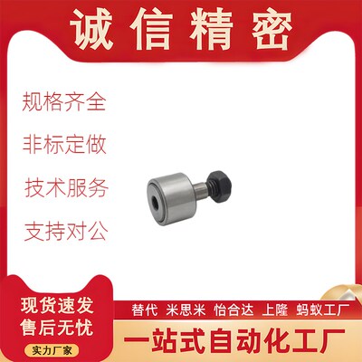 凸轮轴承随动器/BTL-10/12/13/16/19/22/26/30/32/35/40