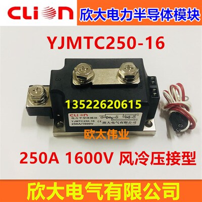 clion欣大电力半导体模块YJMTC250-16 250 1600V 风冷压接 晶闸管