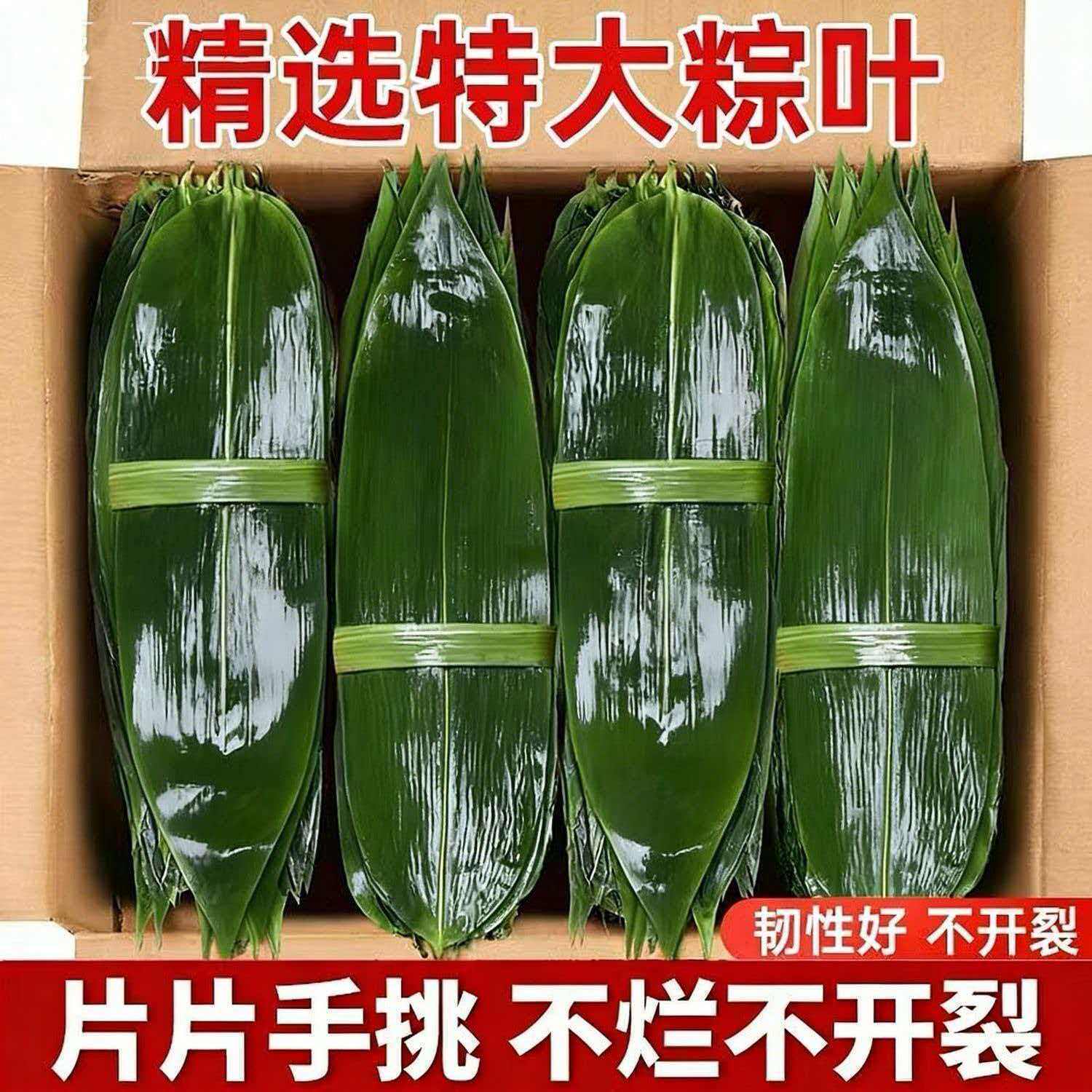 精选新鲜粽子叶粽叶纯天然端午节包粽子糍粑野生家用商用宽叶真空