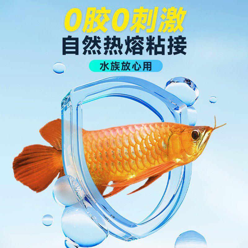 鱼缸专用过滤棉无胶洗不烂加密加厚净水过滤材料魔毯生化棉可裁剪