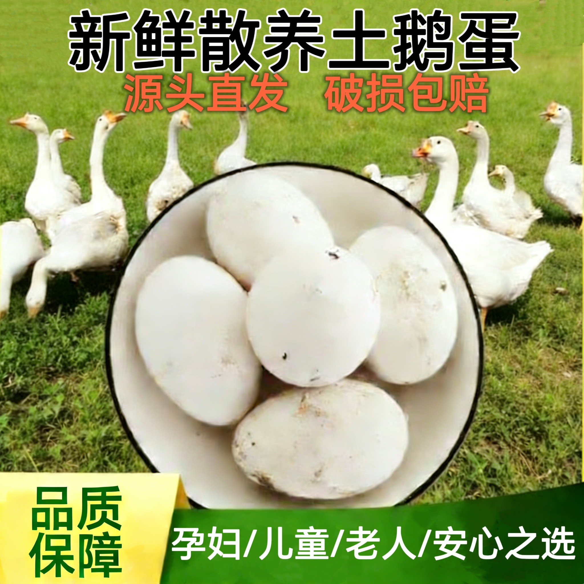 新鲜散养土鹅蛋现捡现发农家自养天然健康孕妇月子儿童老人营养蛋