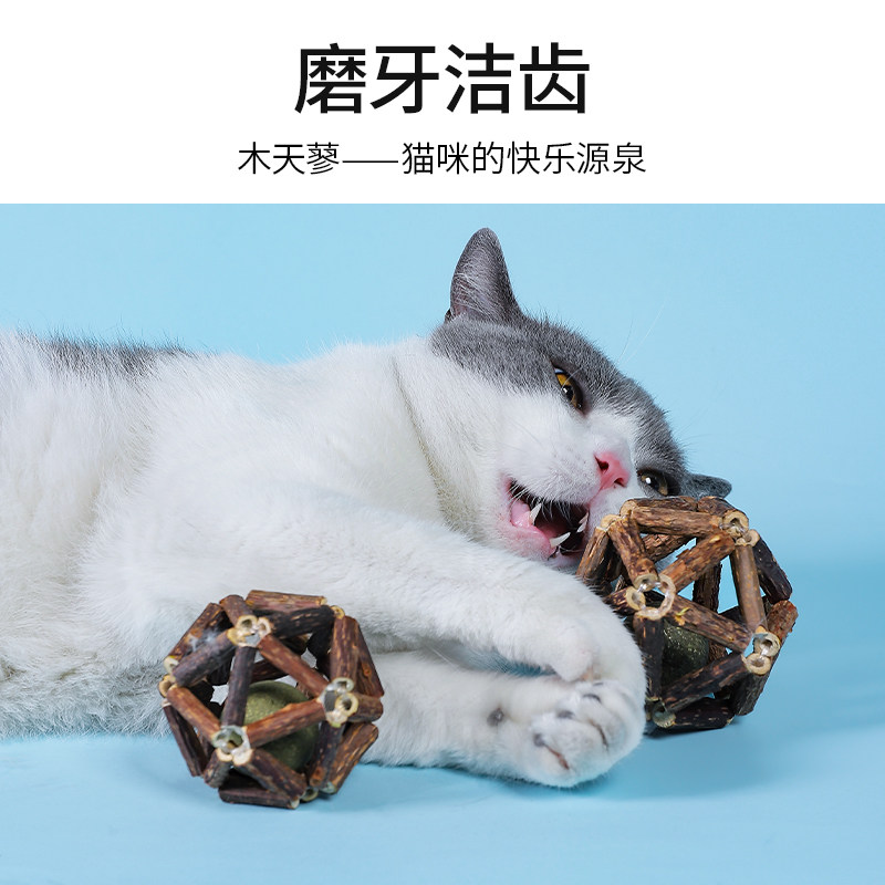 猫玩具磨牙棒木天蓼猫薄荷球逗猫棒铃铛耐咬自嗨解闷神器猫咪用品