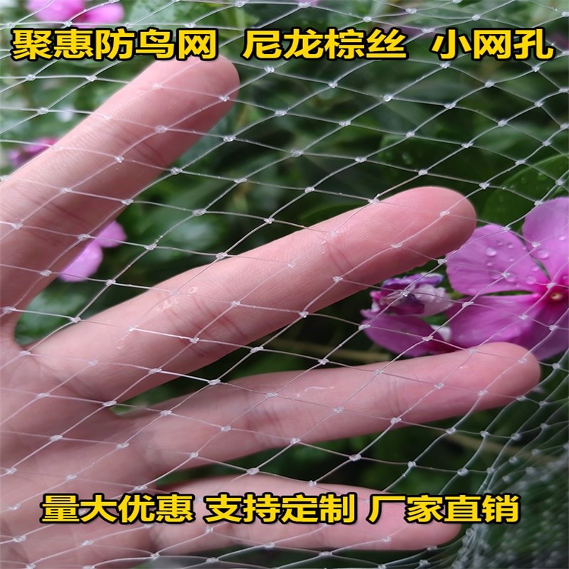 果树防鸟用的网农用防鸟丝网果园天网嘉宝果树防鸟罩子阳台防鸟网