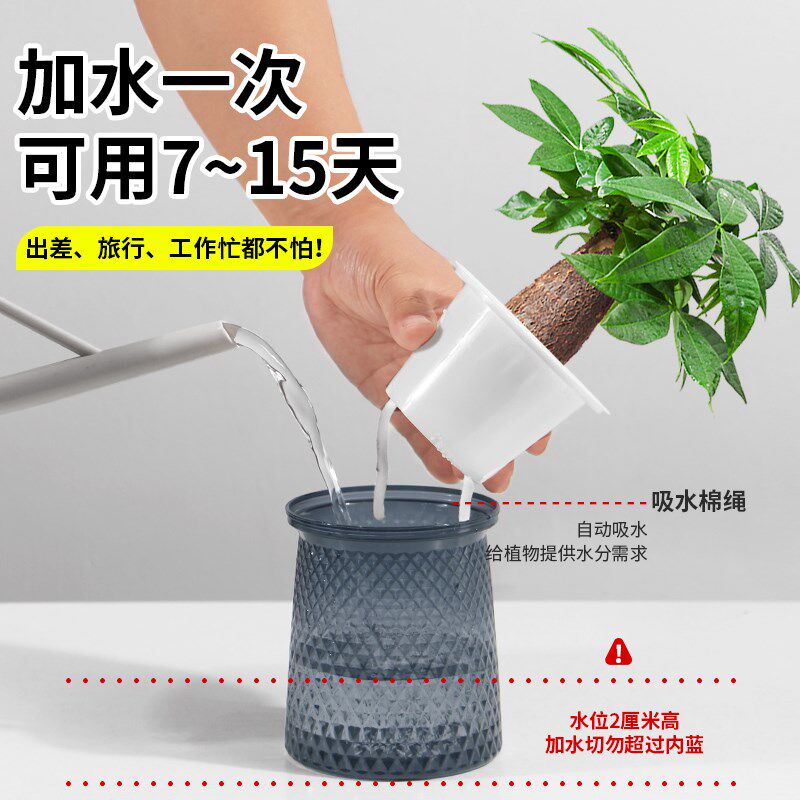 绿萝箩桌面植物发财树盆栽栀子花绿植花卉办公室内多肉水培好养活