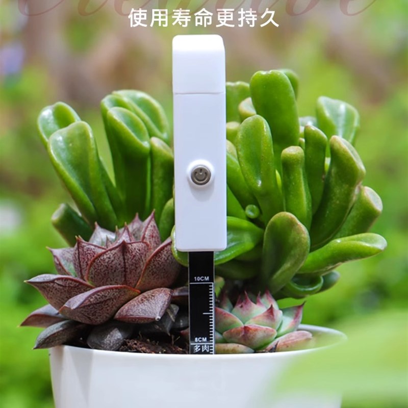 智能园艺工具植物缺水提醒仪懒人家用土壤湿度检测仪绿植水分检测