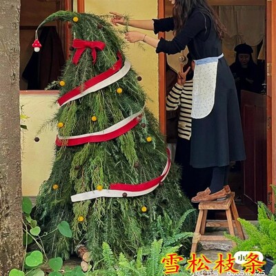 圣诞树DIY鲜切松柏枝云杉扁柏龙柏松枝 圣诞节装饰用真松柏枝条