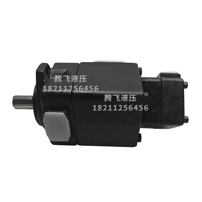 凯嘉VQ425-216-52-F-RLRA-02双联叶片泵VQ215/VQ325/DVQ435压铸机
