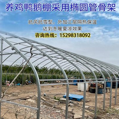 大棚骨架钢管牛棚羊圈猪舍鹅兔养鸡场椭圆管温室蔬菜养殖大棚保温