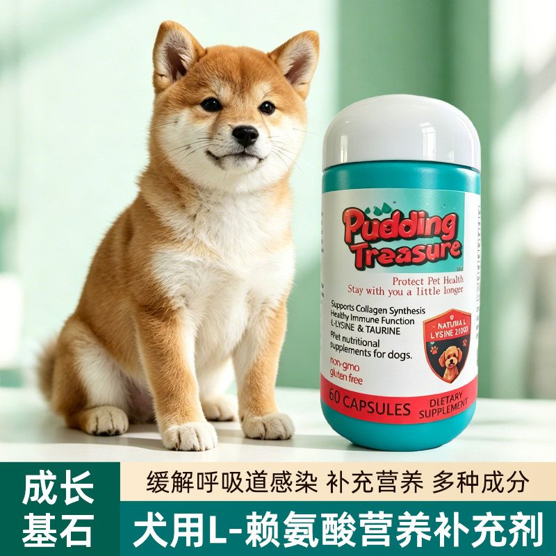 宠物营养赖氨酸狗免疫力提高口鼻眼分泌物狗形保健品布丁元宝进口