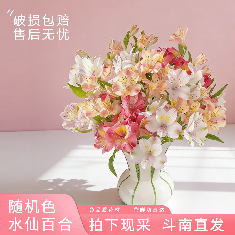 【斗南直发】水仙百合 六出六初花花期长昆明新鲜切花水养花卉材