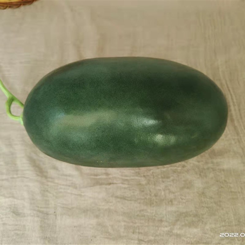 厂家直销仿真水果蔬菜模型摄影道具农作物装饰仿真假人造冬瓜模型