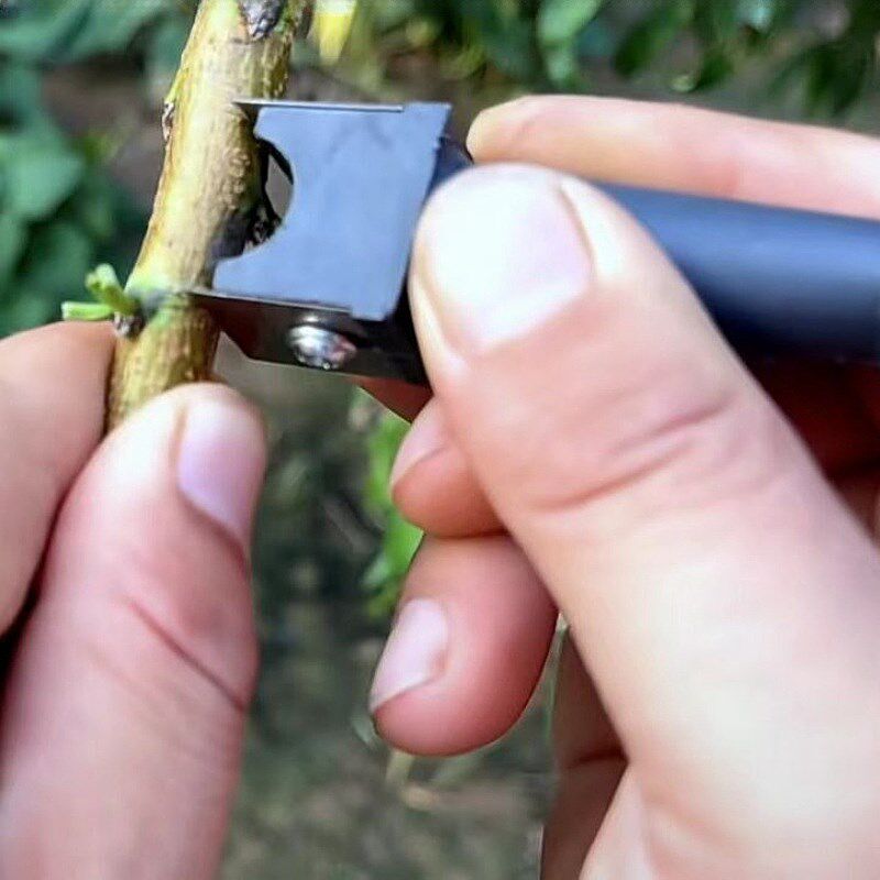 果树芽接双刀嫁接刀园林枝专用树木专业双刃嫁接工具园艺接木神器
