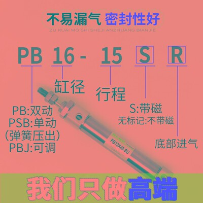 PB微型不锈钢迷你带磁气动气缸PB10/12/16-10-20-75-100-150平尾