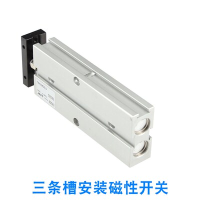 气动小型双轴 双杆气缸 TDA25/TN25X10S/20X30X40X50X75X100X125S