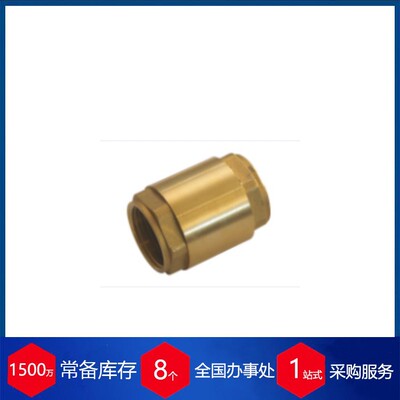 供应法国SFERACO止回阀 CW617N-4MS