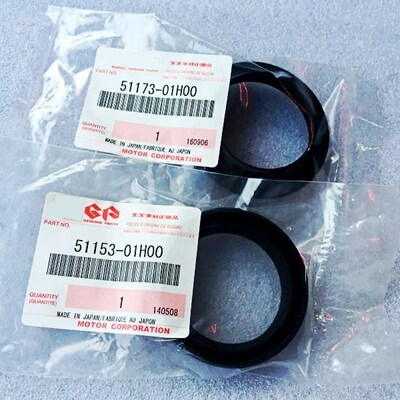 原装进口GW250大眼DR250 CN250 RGV250天浪AN400 DL650前减震油封