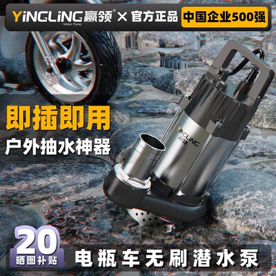 赢领不锈钢无刷直流潜水泵24V48V60V72V电动车家用抽水机农用排污