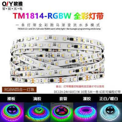 LED全彩DMX512麦爵士RGBW幻彩灯带可编程WS2814跑马流水灯TM1814