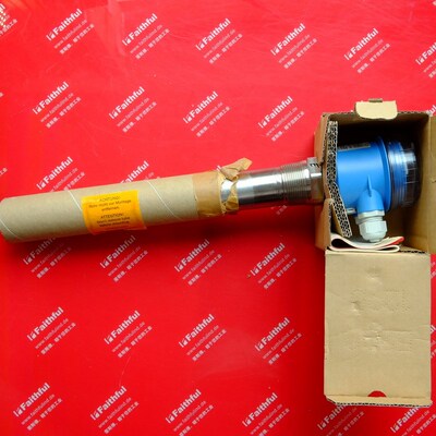E+H FTM51-AGG2M4A12AA 恩德斯豪斯全新音叉物位计 FEM54议价