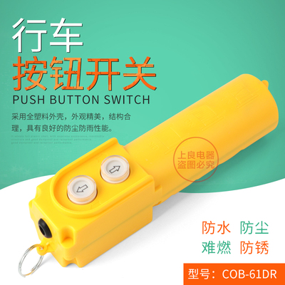 特价COB-61R (COP-21R) 30UF 行车开关 电葫芦 COB-61DR 带电容