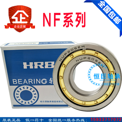 圆柱滚子轴承N NU NJ204 205 206 207 208 209 210 211 212 213EM