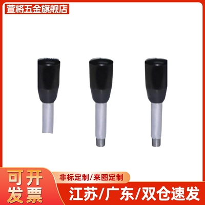HAC03-M6/M8/M10/M12-L63/L80/L100/L125/L160/L200手柄杆01/02-E