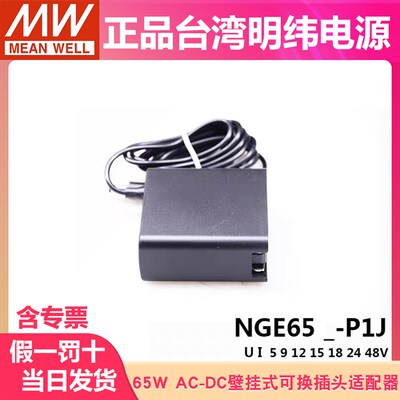 NGE65明纬医疗型U12V开关电源U24V5适配器I05/15/18/48P1J GSM60A