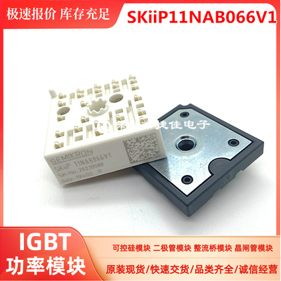 SKIIP13NAB065V1 SKIIP11NAB065V1 SKIIP14NAB065V1 12NAB066V1