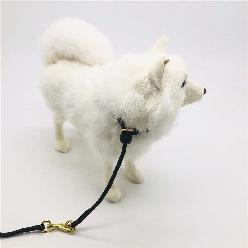 带限位扣圆形尼龙专业比赛牵引绳金毛柯基犬法牛训犬P链带包邮