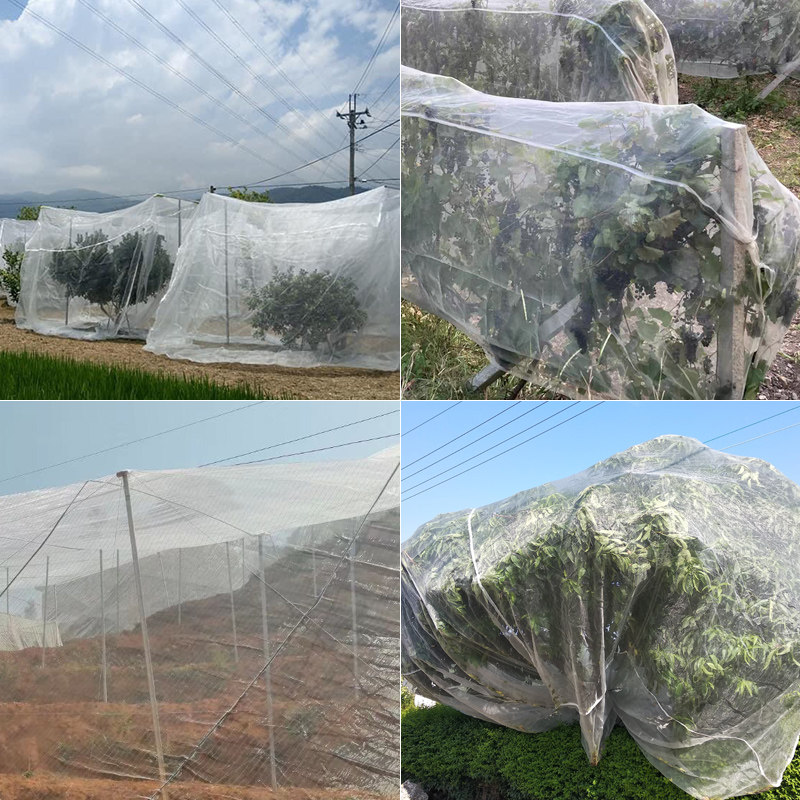 聚乙烯农用防虫网适用果树防鸟网室及莲雾防风塑胶大棚 可订制尺