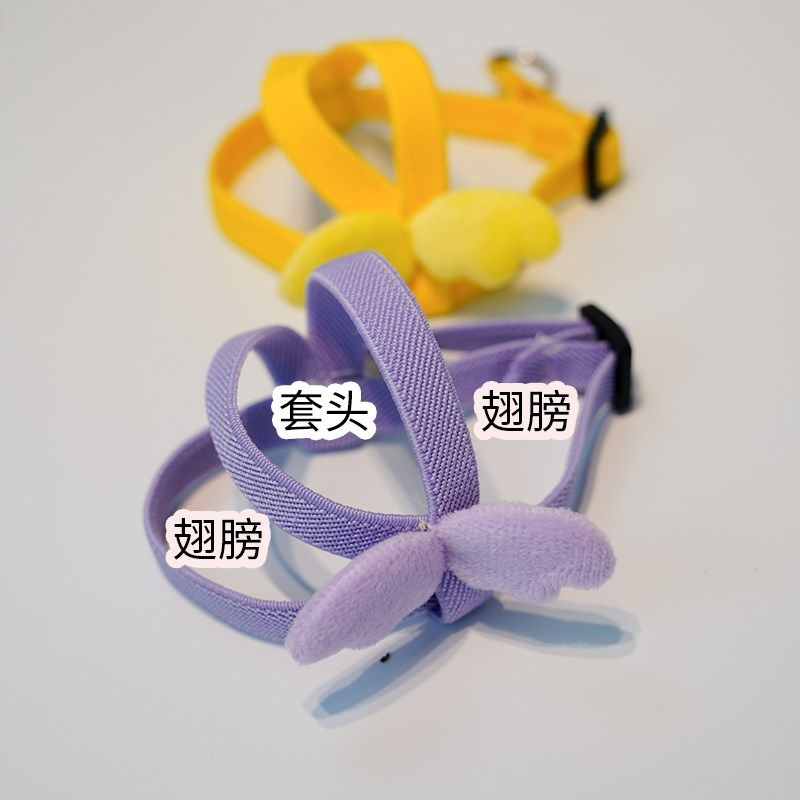 鸟用鹦鹉放飞绳玄凤虎皮牡丹牵引绳飞行外出背带遛鸟神器用品玩具