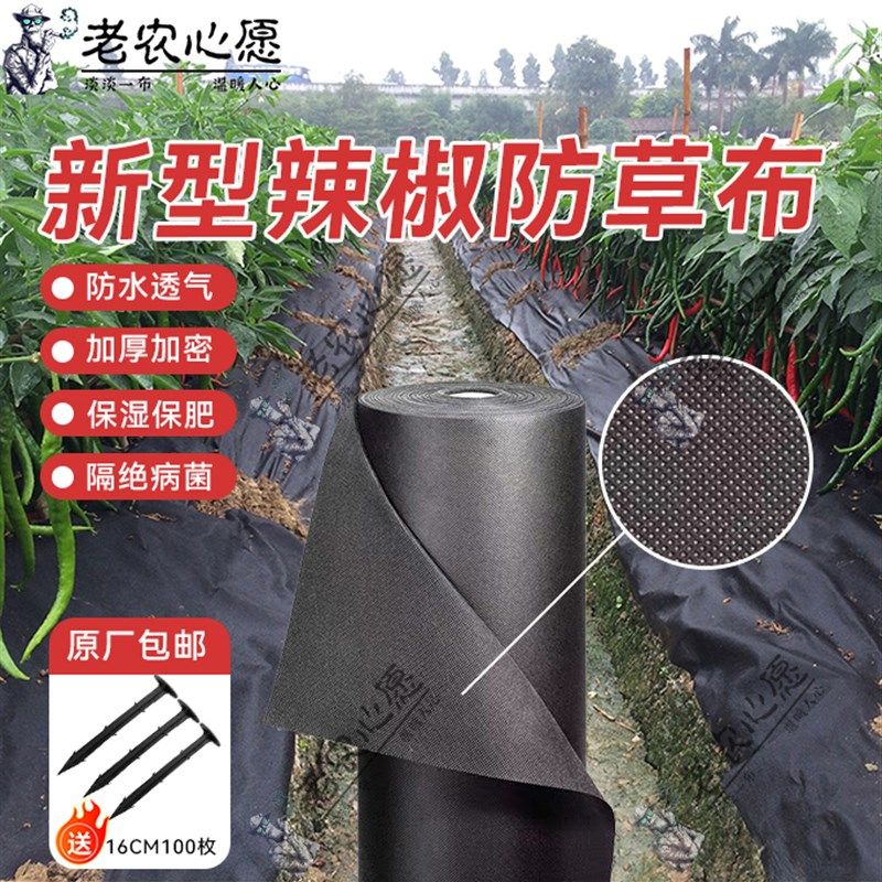 水果蔬菜农用防草布除草布耐用透气透水保湿保肥蔬果种植遮草地布