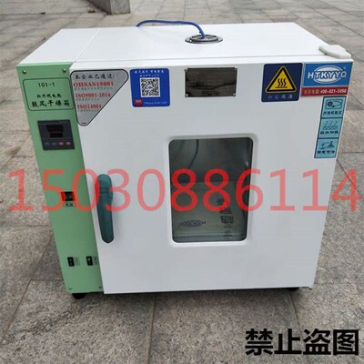 电热鼓风干燥箱101A/102A/103A型 鼓风干燥箱 智能温控表温度稳定