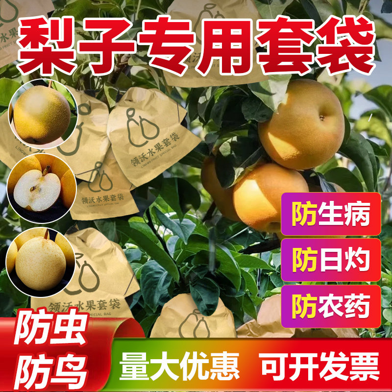 梨子套袋专用袋秋月梨果袋防鸟防虫防日灼保护袋水果通用透气纸袋